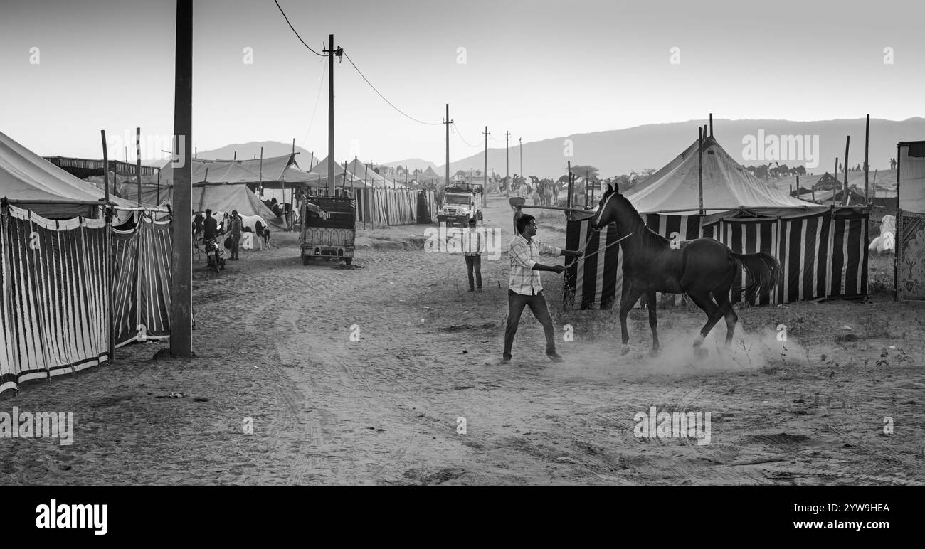 Pushkar in rajasthan Black and White Stock Photos & Images - Alamy