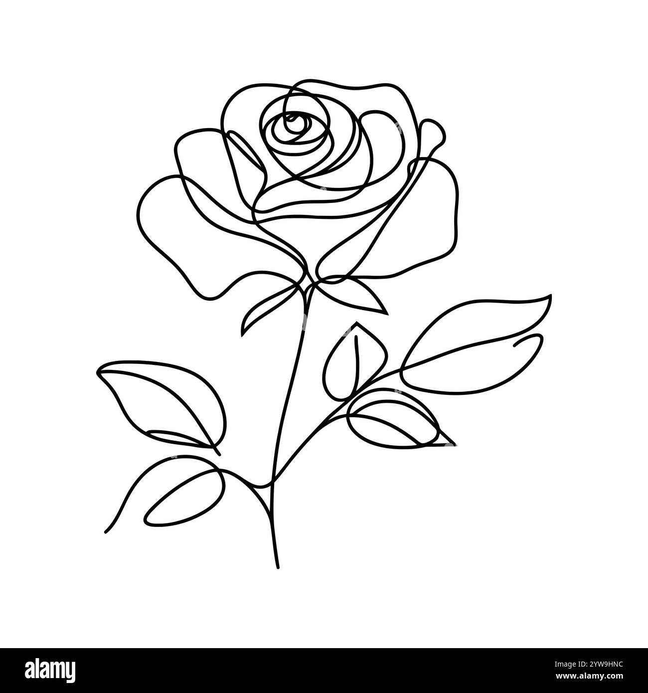 Linear rose icon. Black and white image of a hand-drawn rose flower ...