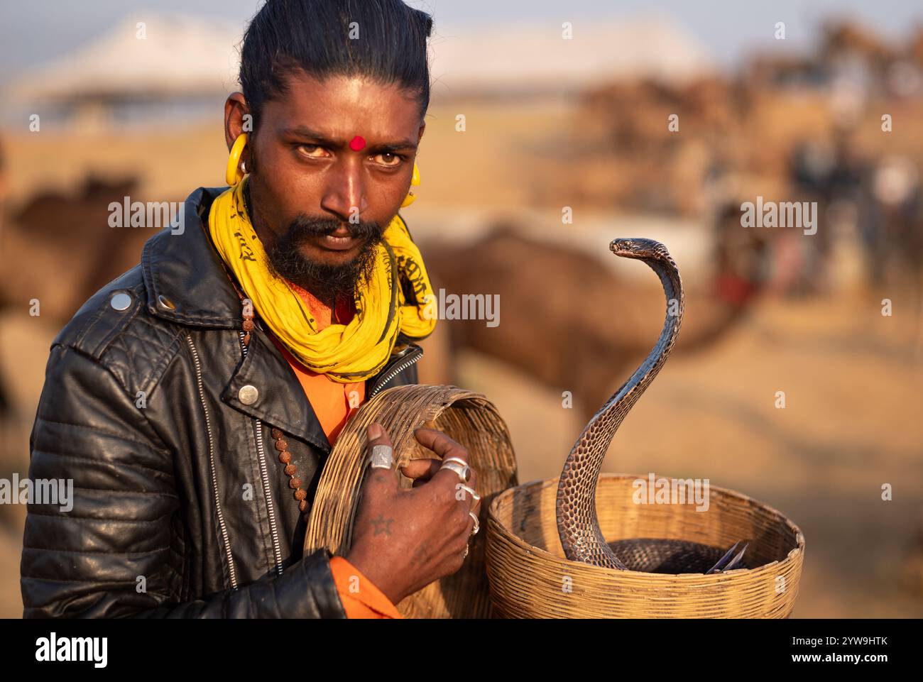 Pushkar Camel Fair Stock Photo - Alamy