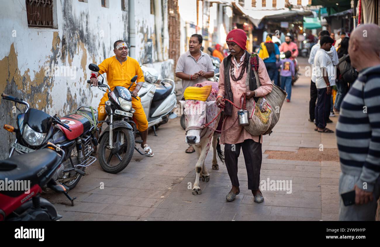 Pushkar Camel Fair Stock Photo - Alamy