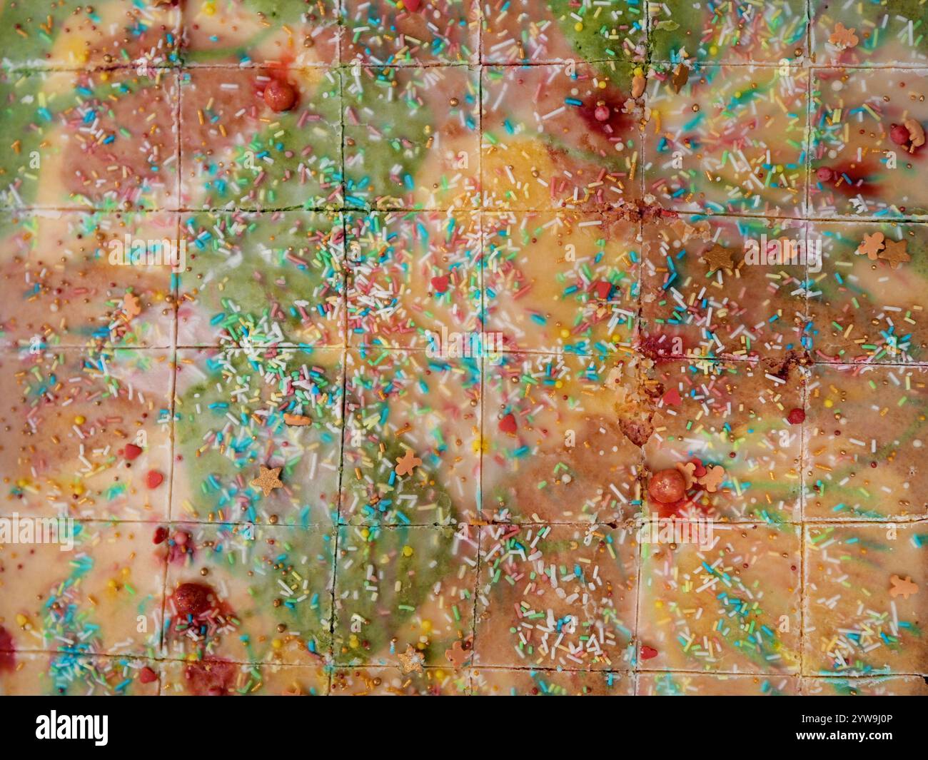 A colorful parrot cake with sprinkles, loved by kids and lovingly made ...