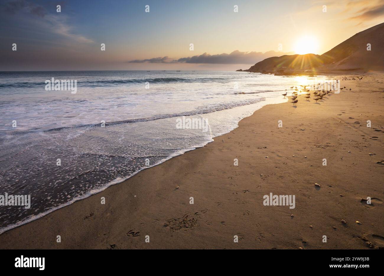 Pacific ocean coast in Chile Stock Photo - Alamy