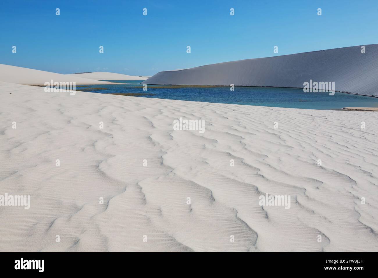 Lagoons in the desert of Lencois Maranhenses National Park, Brazil ...