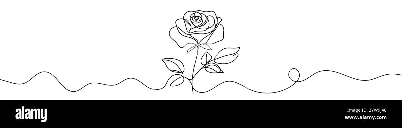 One continuous line illustration of a rose, isolated on white ...