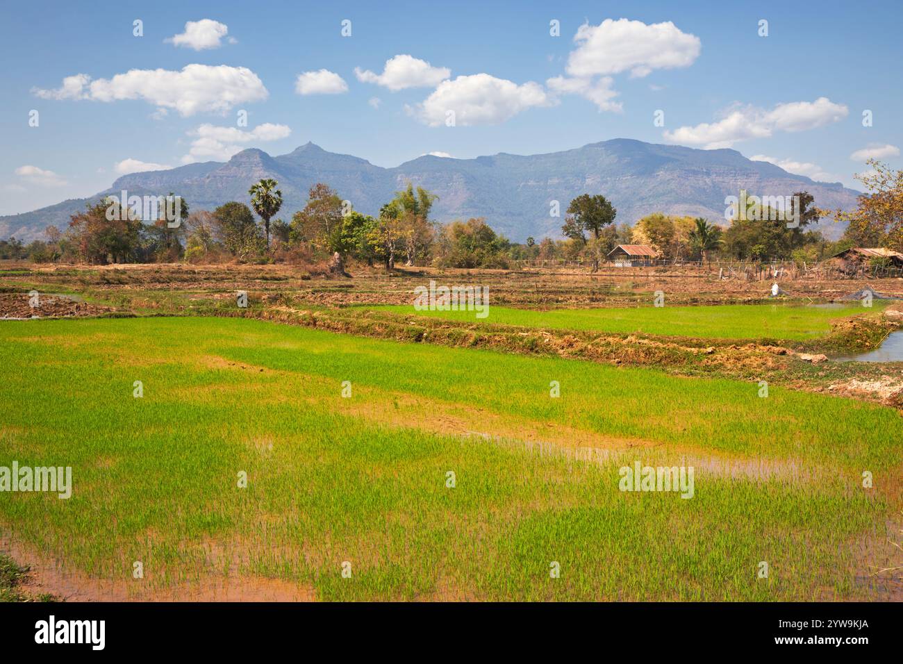 Wat muang kao hi-res stock photography and images - Alamy