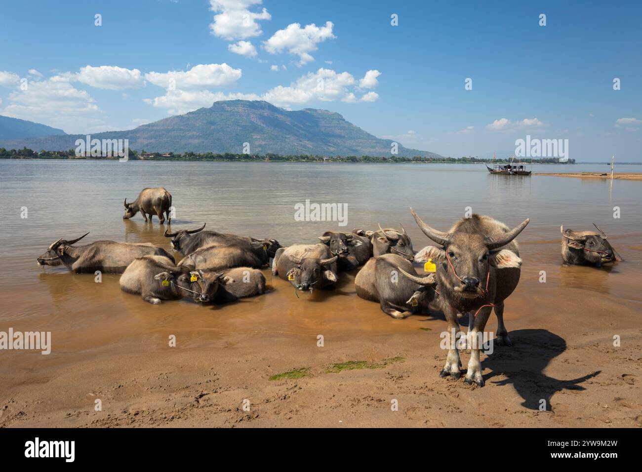 Muang la laos hi-res stock photography and images - Alamy