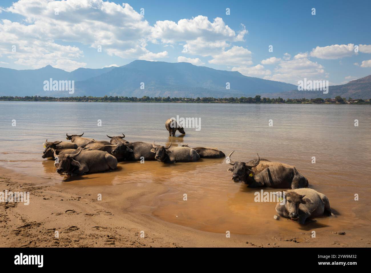 Muang la laos hi-res stock photography and images - Alamy
