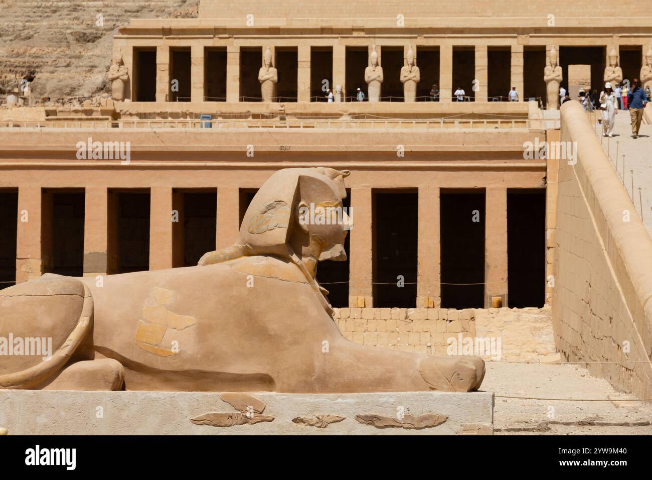 Sphinx at Mausoleum, necropolis temple to Queen Hatshepsut, Luxor ...
