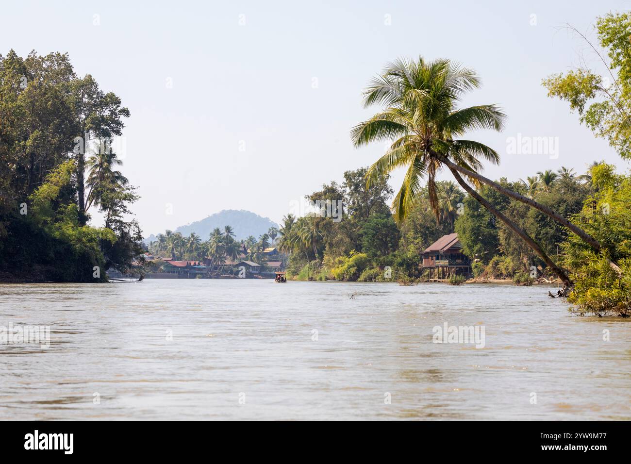 Dipping palm trees on the Mekong River with Don Khon and Don Det ...