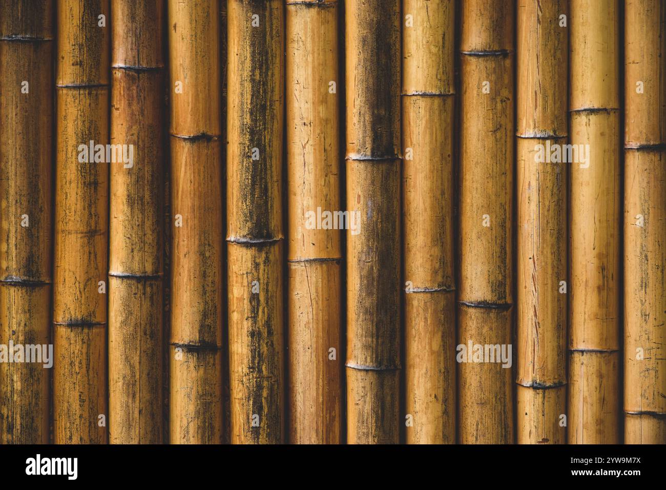 Bamboo wall hi-res stock photography and images - Alamy