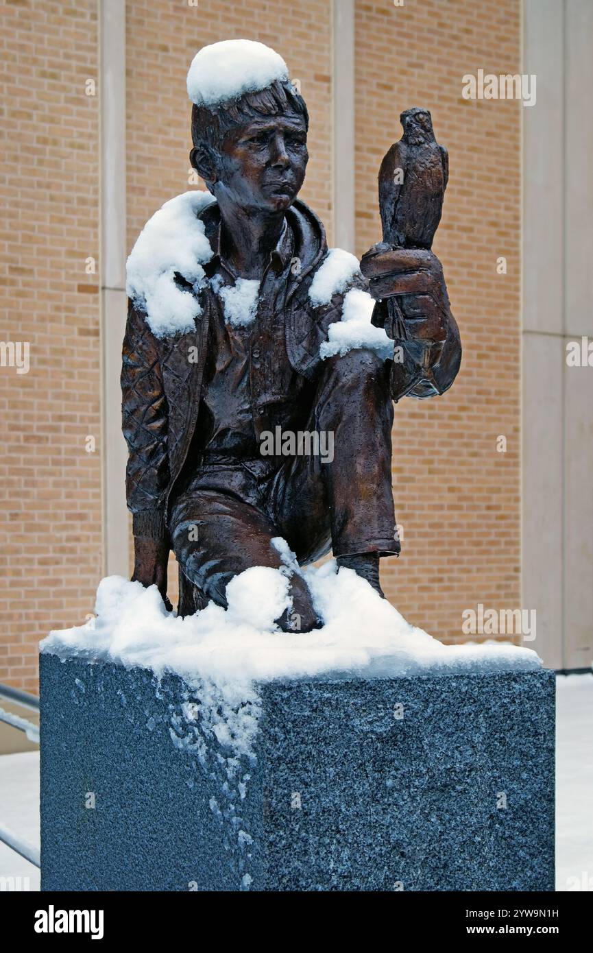 UK, South Yorkshire, Barnsley, The Barry Hines Memorial Stock Photo - Alamy