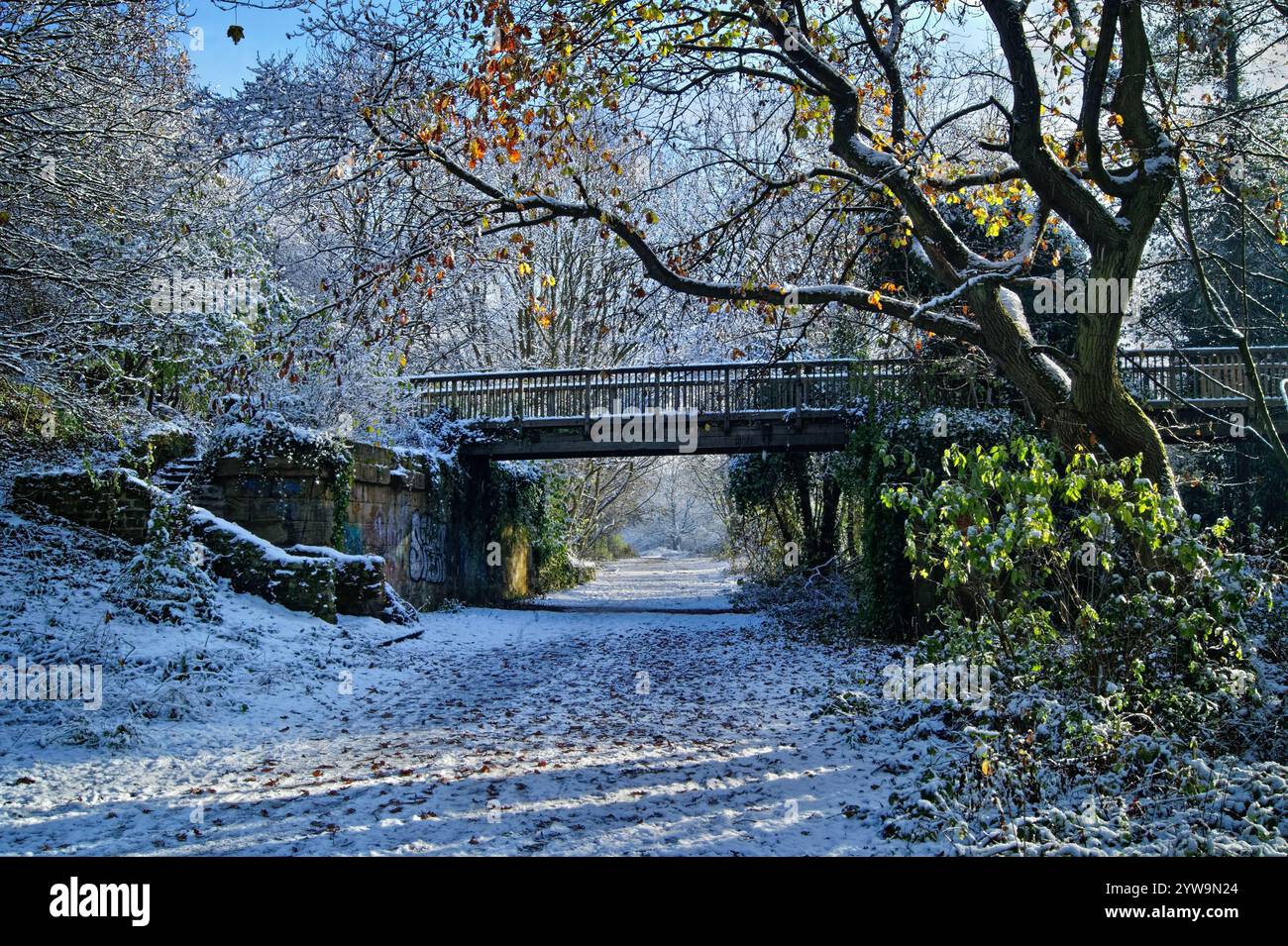 UK, South Yorkshire, Barnsley, Dearne Valley Country Park, Trans ...