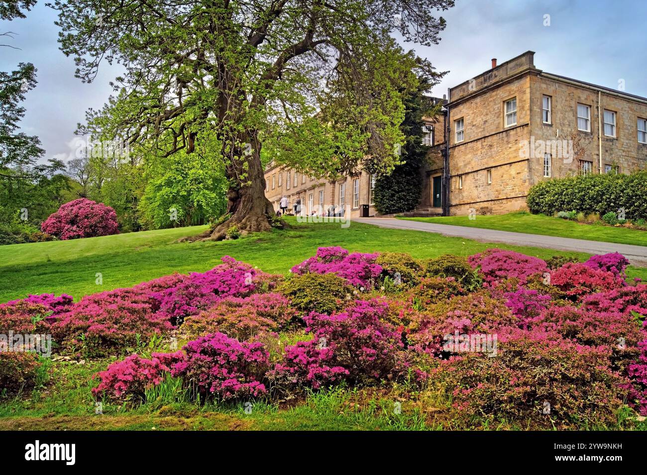 UK, South Yorkshire, Barnsley, Cawthorne, Cannon Hall Stock Photo - Alamy