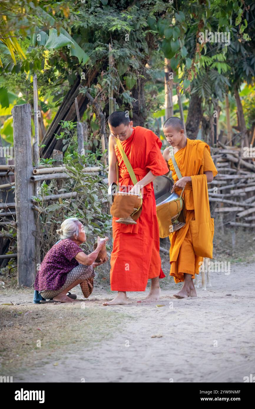 Local women giving rice to young buddhist monks in early morning on Don ...