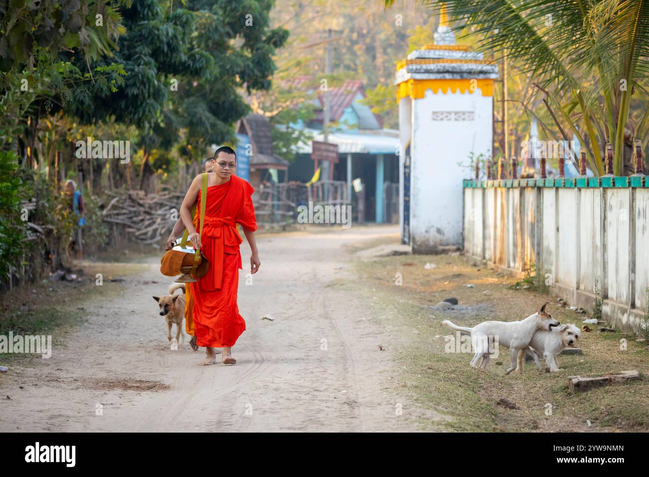 Buddhist monks on Don Daeng island on the Mekong River, Muang, near ...