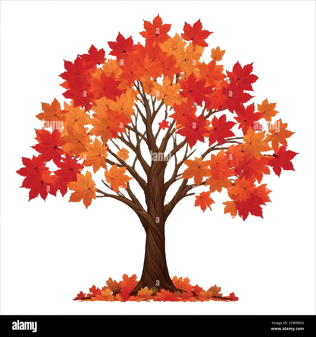 maple tree art style with orange leaf and white background Stock Vector ...