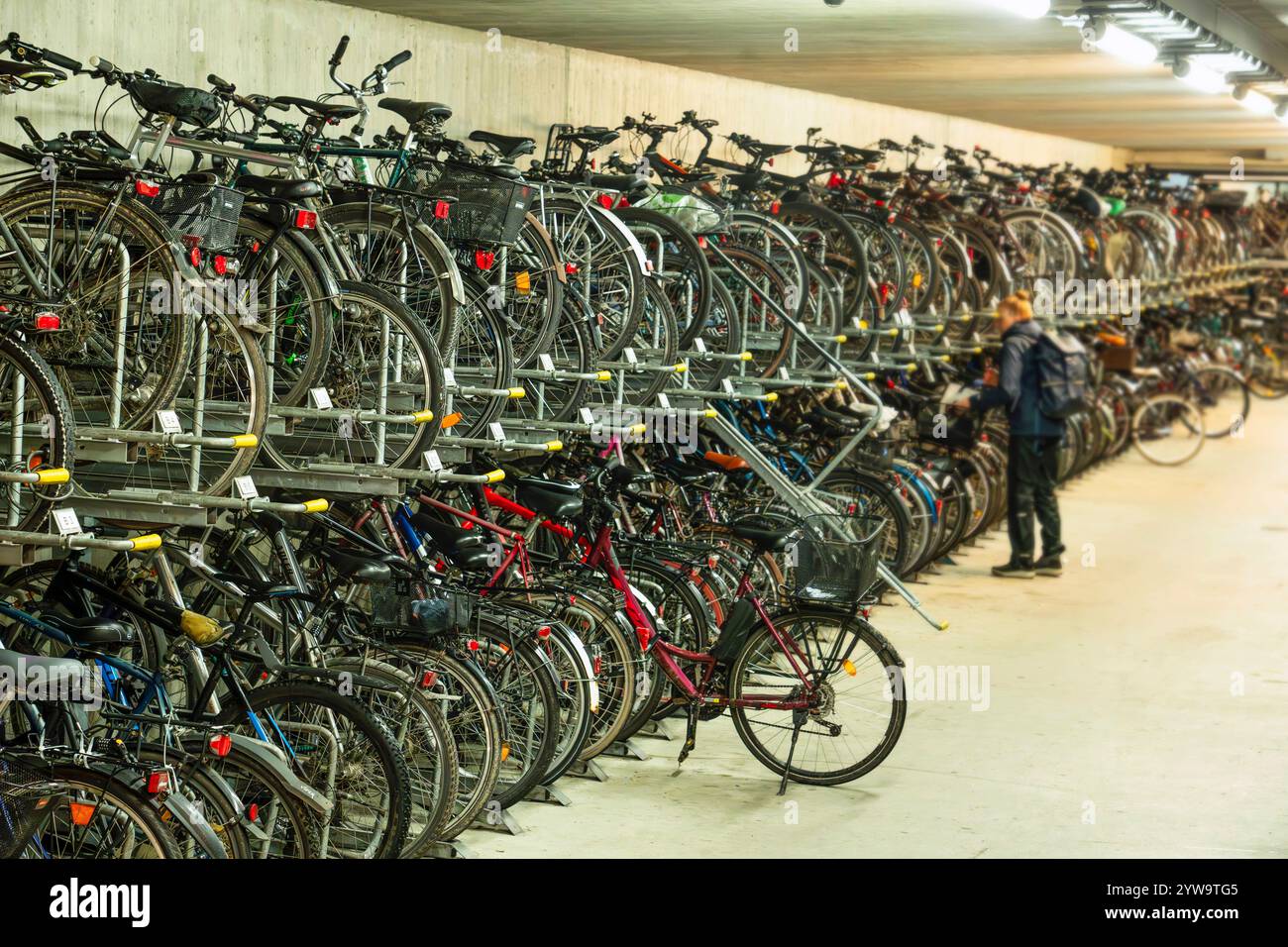 Stellplätze für Fahrräder, Bike and Ride, S-Bahnhof Pasing, München ...