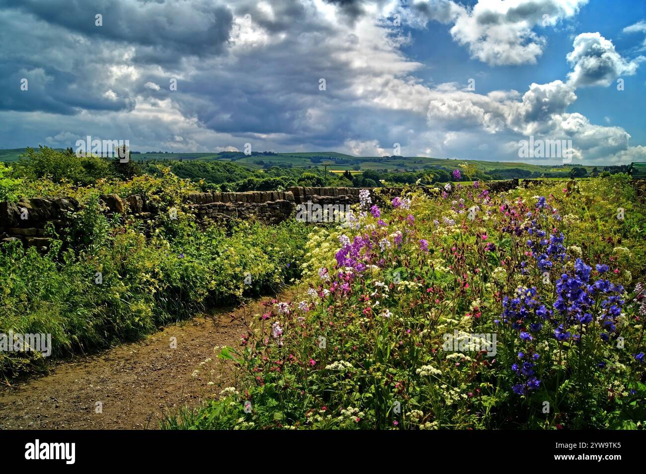 Oaks scar lane hi-res stock photography and images - Alamy
