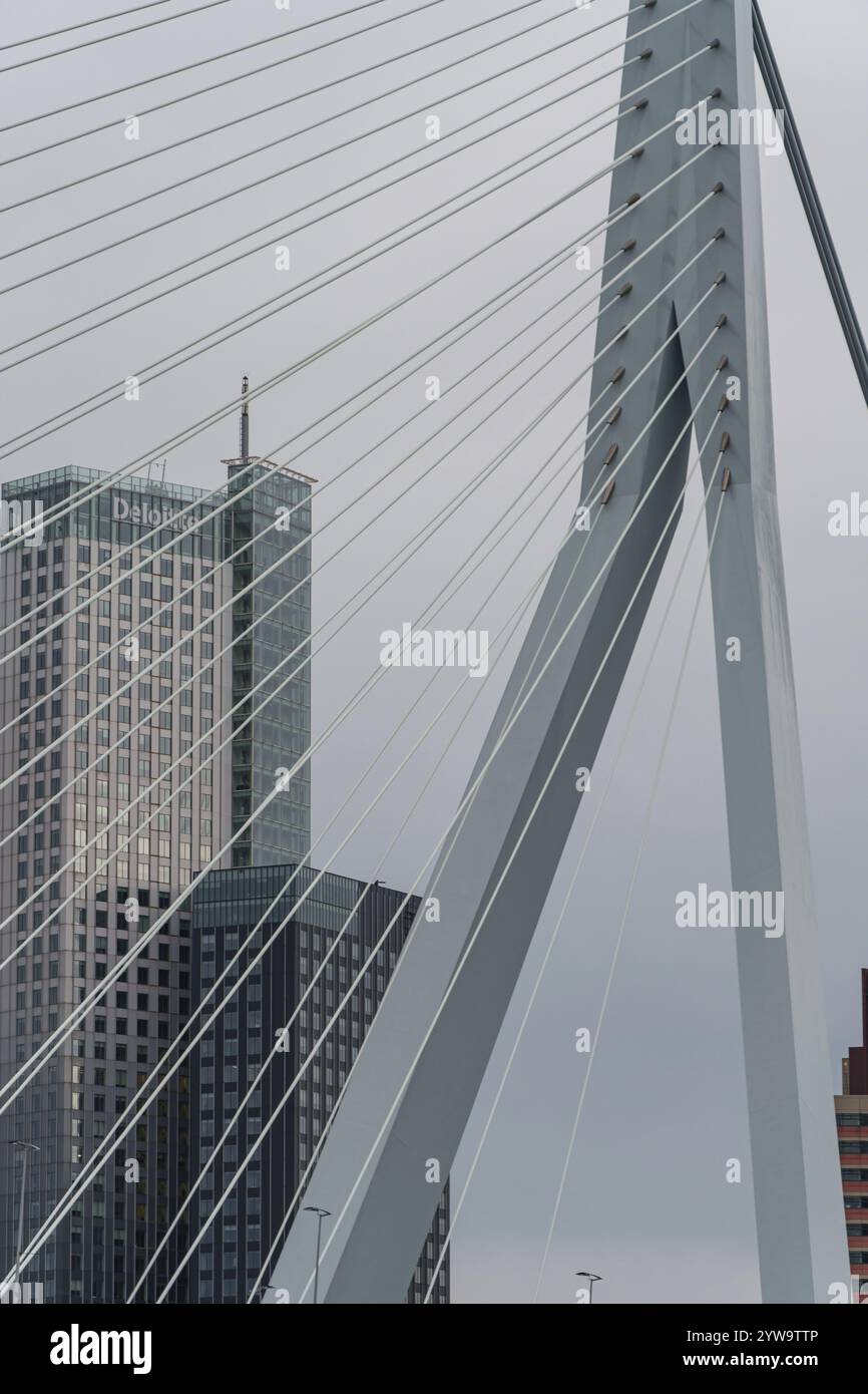 Detailed view of bridge architecture and modern high-rise buildings ...