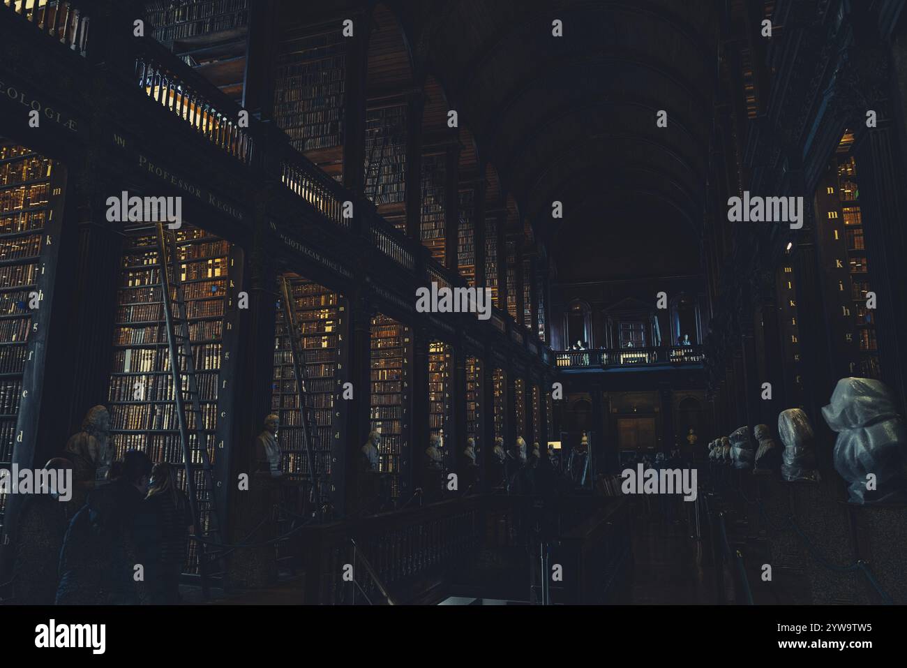 Library of Trinity College, Dublin Stock Photo - Alamy