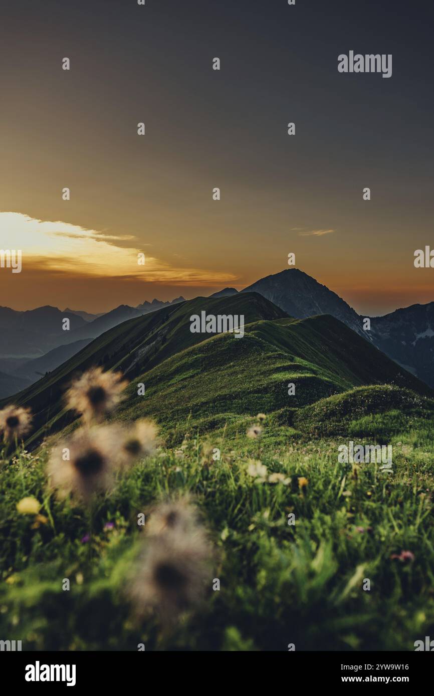 Hiking tour on the Hoenig mountain in the Lechtal valley near Berwang ...