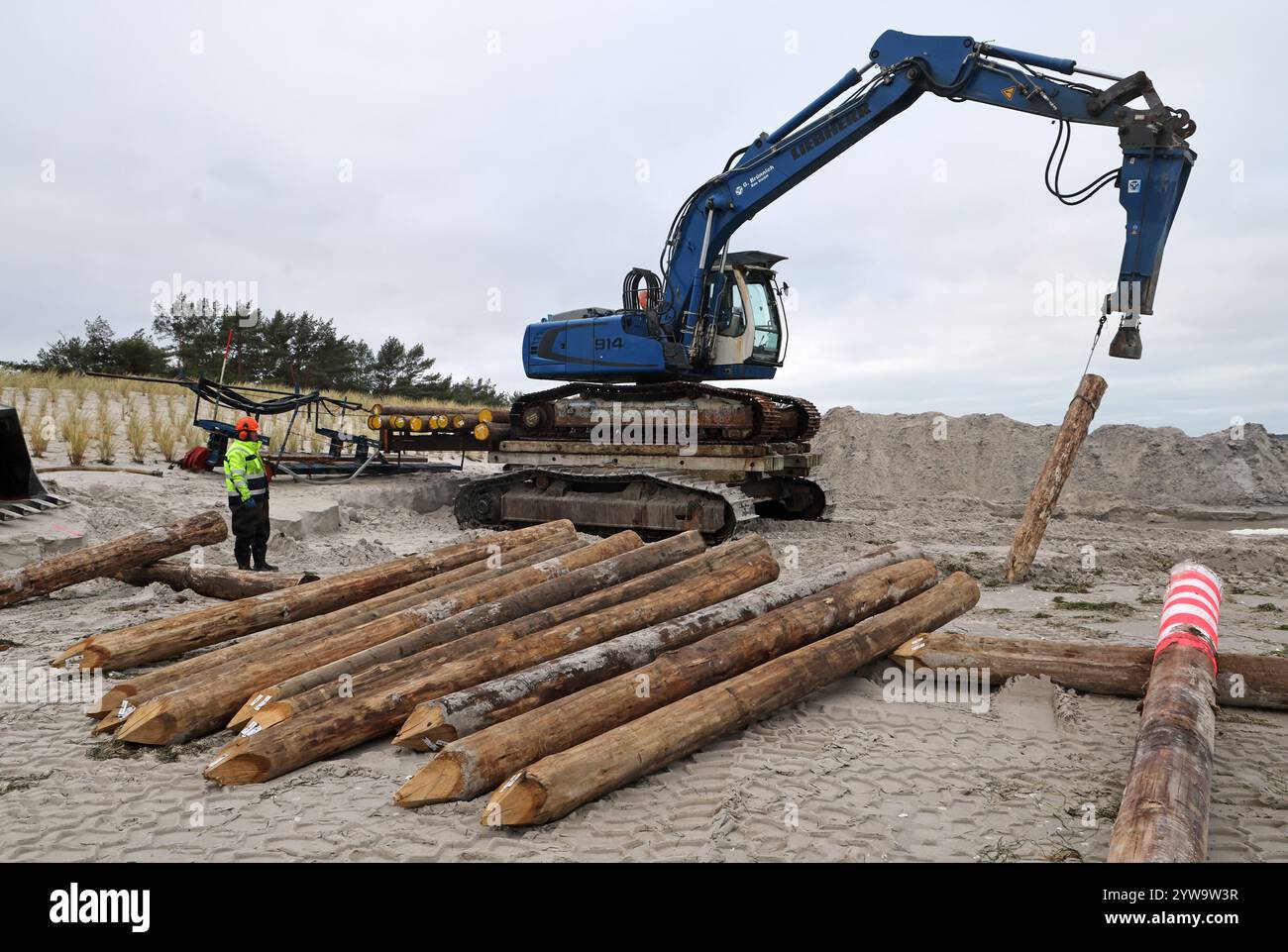 Groynes on the baltic sea beach in prerow hi-res stock photography and ...