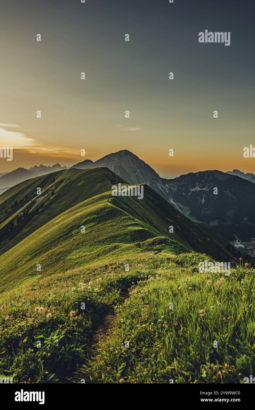 Hiking tour on the Hoenig mountain in the Lechtal valley near Berwang ...