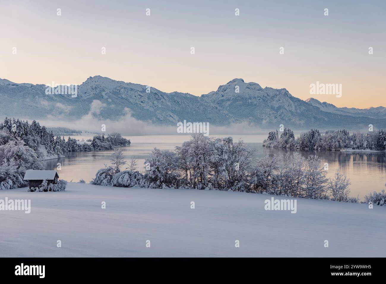 Dawn and sunrise at the wintry Forggensee in a snow-covered winter ...