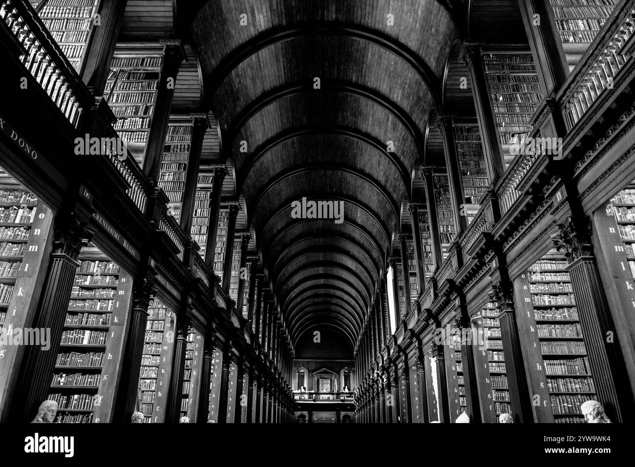 Library of Trinity College, Dublin Stock Photo - Alamy