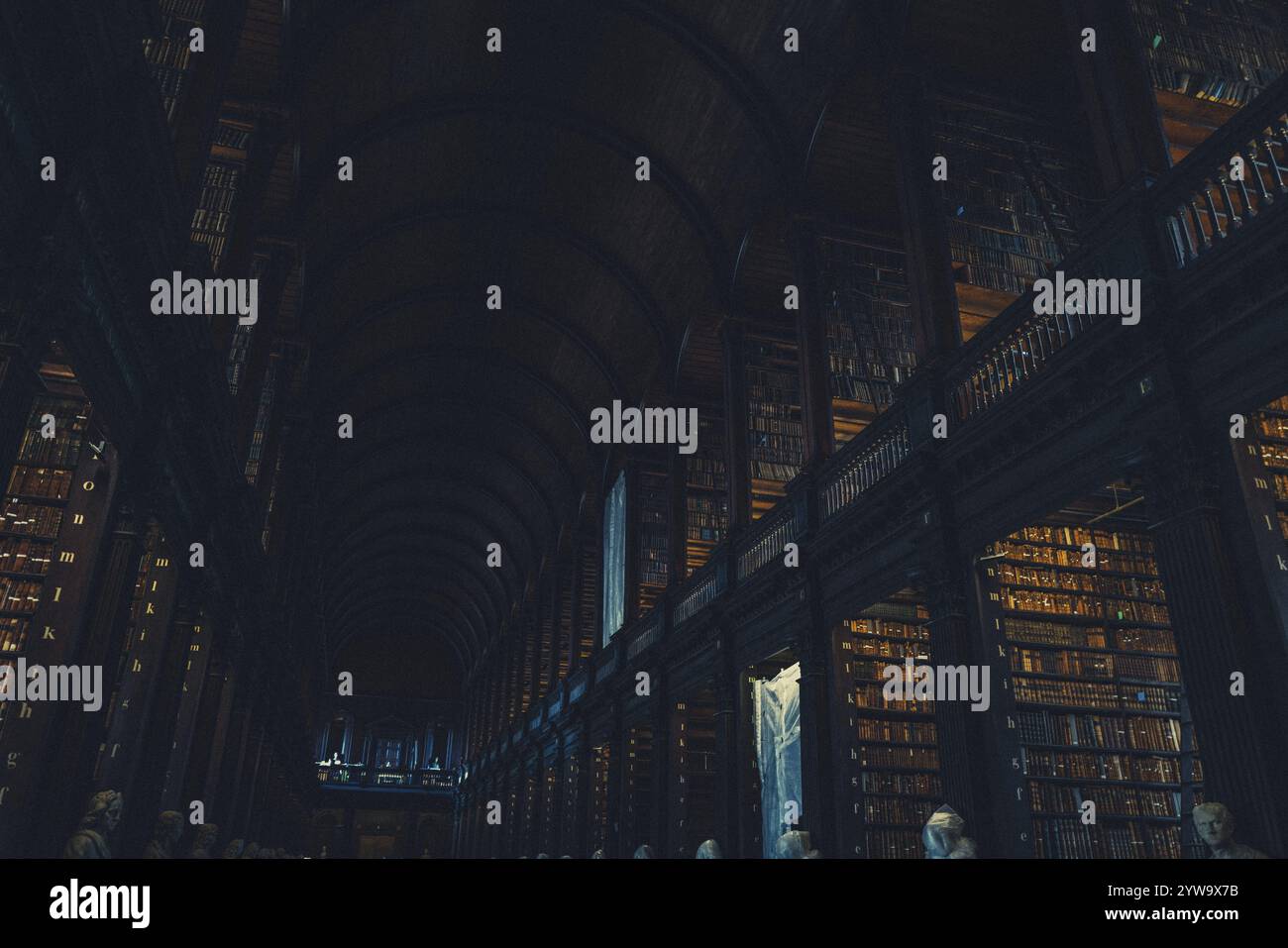 Library of Trinity College, Dublin Stock Photo - Alamy