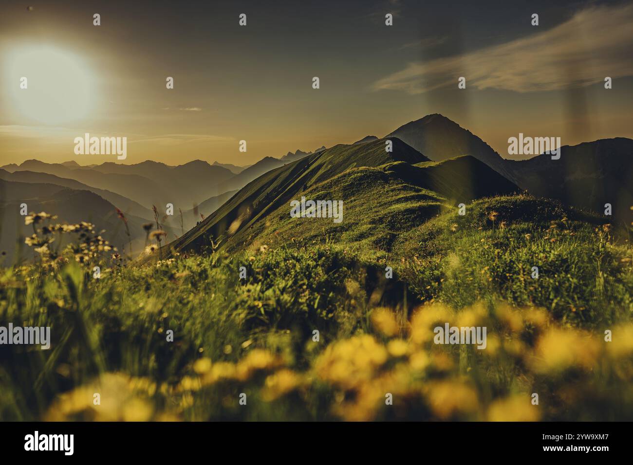 Hiking tour on the Hoenig mountain in the Lechtal valley near Berwang ...