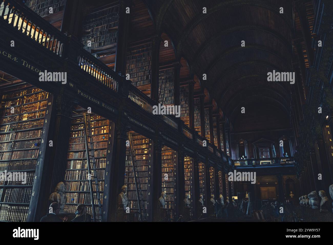 Library of Trinity College, Dublin Stock Photo - Alamy