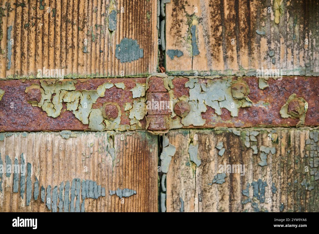 Detail of weathered wood from an old window shutter, Burano, Venice Italy Stock Photo - Alamy