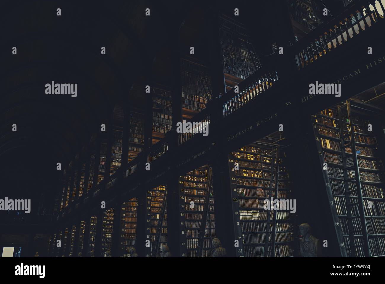 Library of Trinity College, Dublin Stock Photo - Alamy