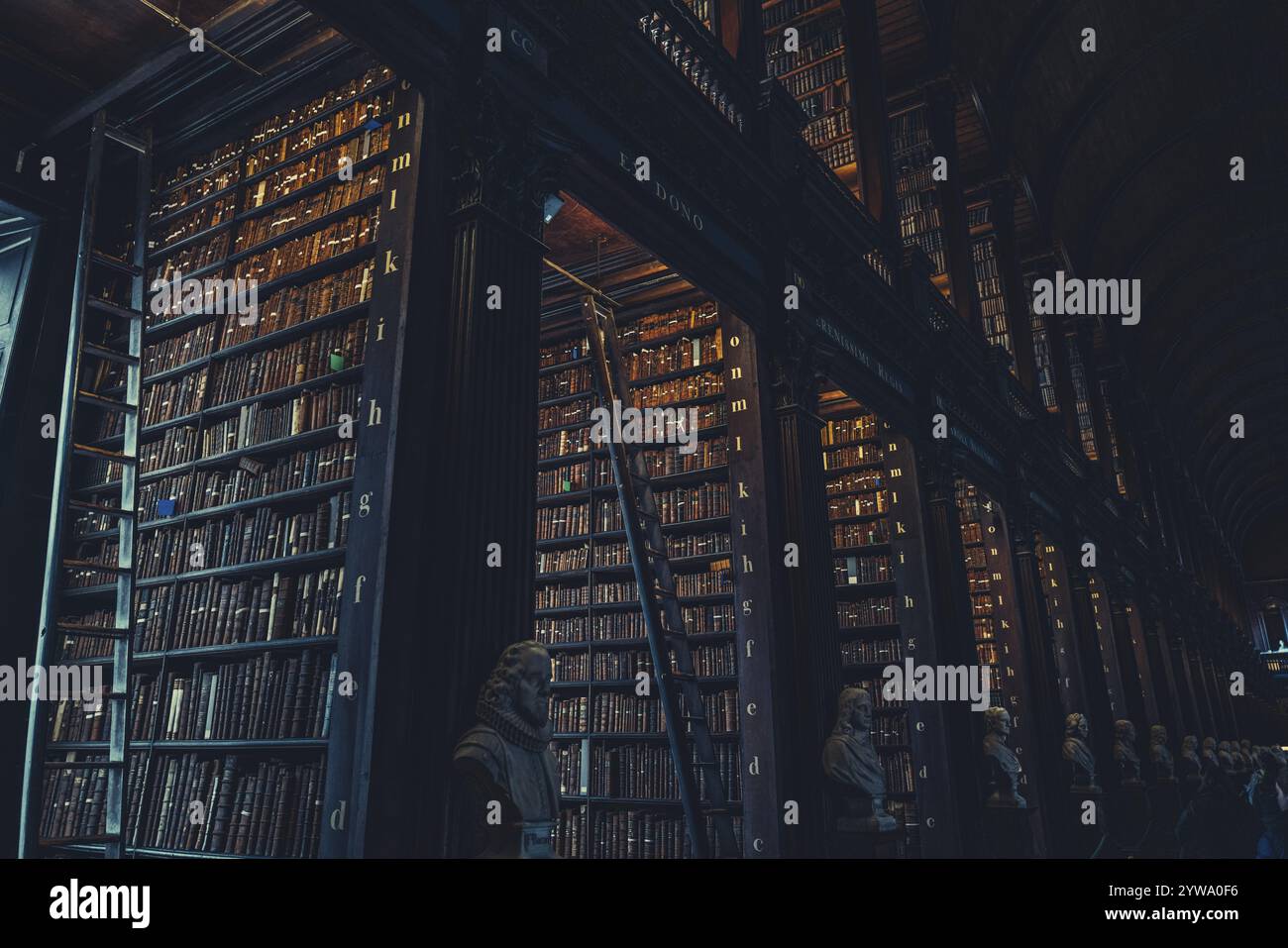 Library of Trinity College, Dublin Stock Photo - Alamy