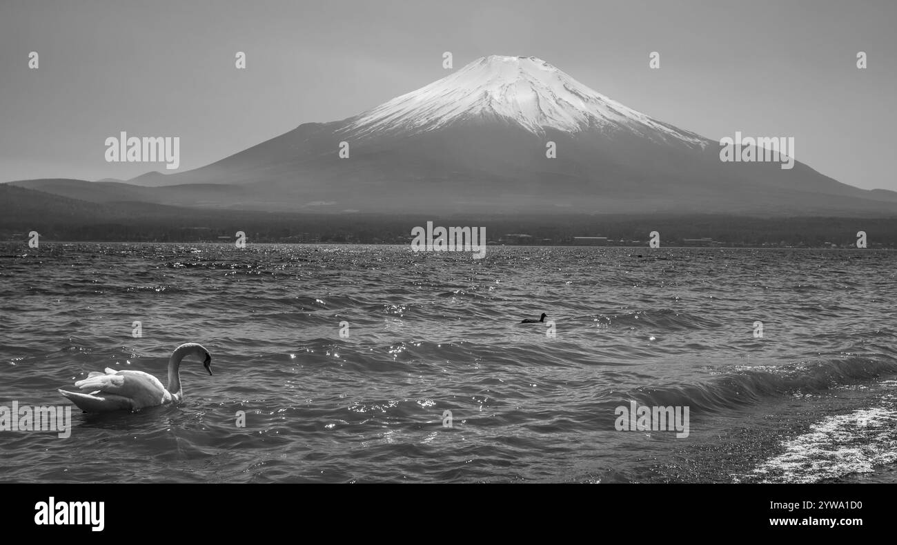 Iconic view of lake Kawaguchiko and Mount Fuji in Yamanashi prefecture in Japan Stock Photo - Alamy