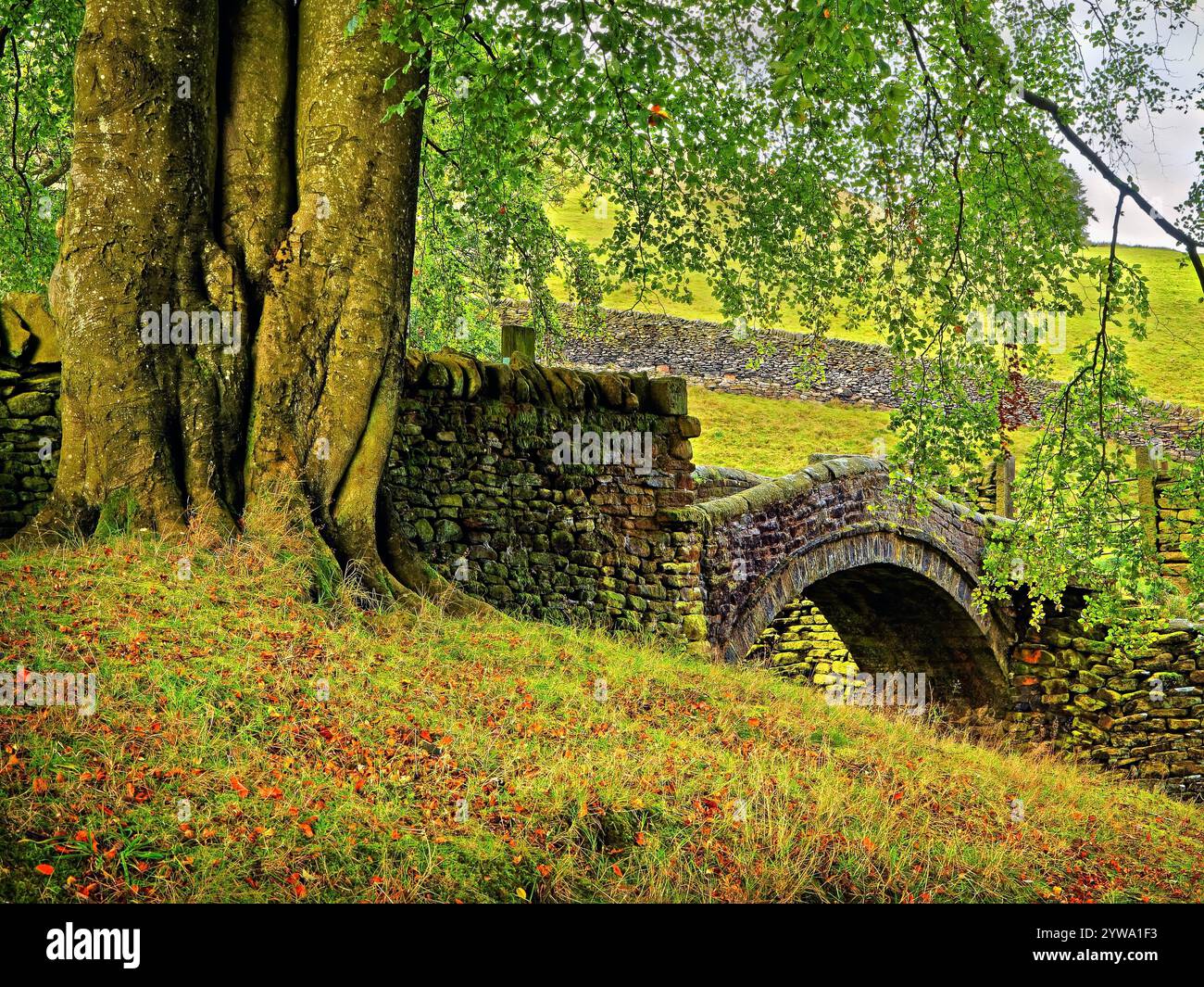 Bridge gate bridge west yorkshire hi-res stock photography and images ...