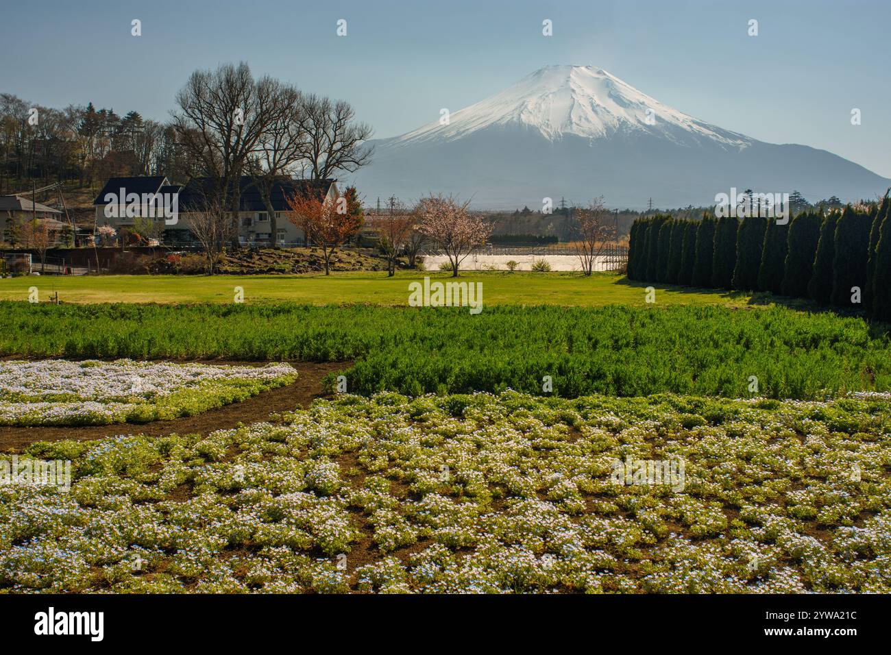 View of Japanese countryside and iconic Mount Fuji in Yamanashi ...