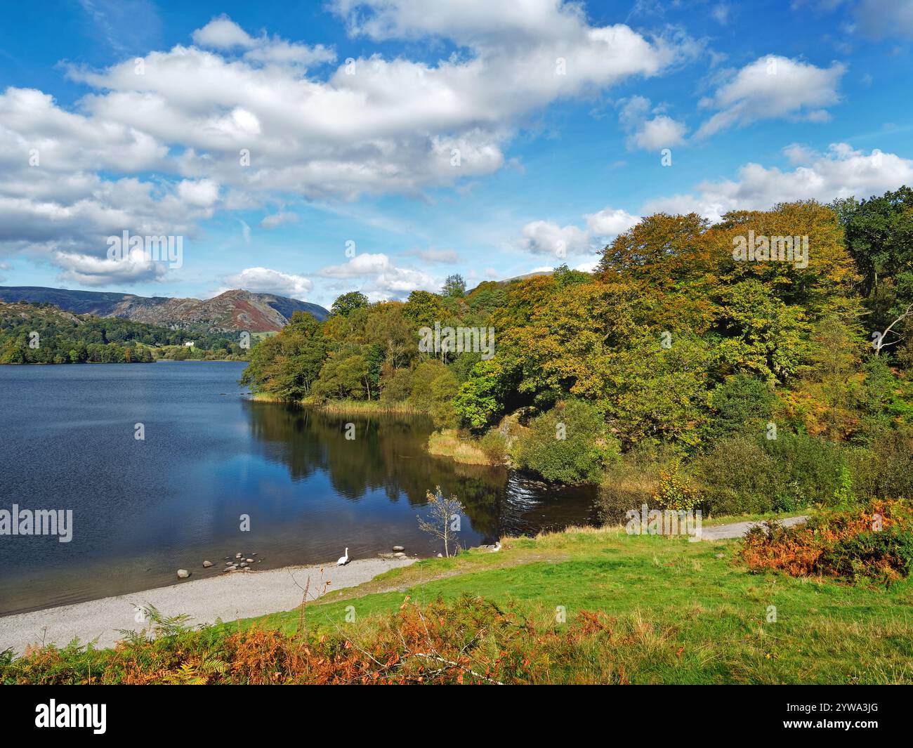 UK, Cumbria, Lake District, Grasmere Lake Stock Photo - Alamy