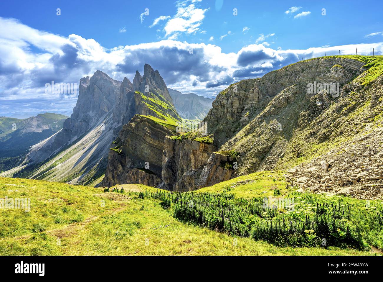 Majestic peaks of seceda mountain glowing under the summer sun in val ...