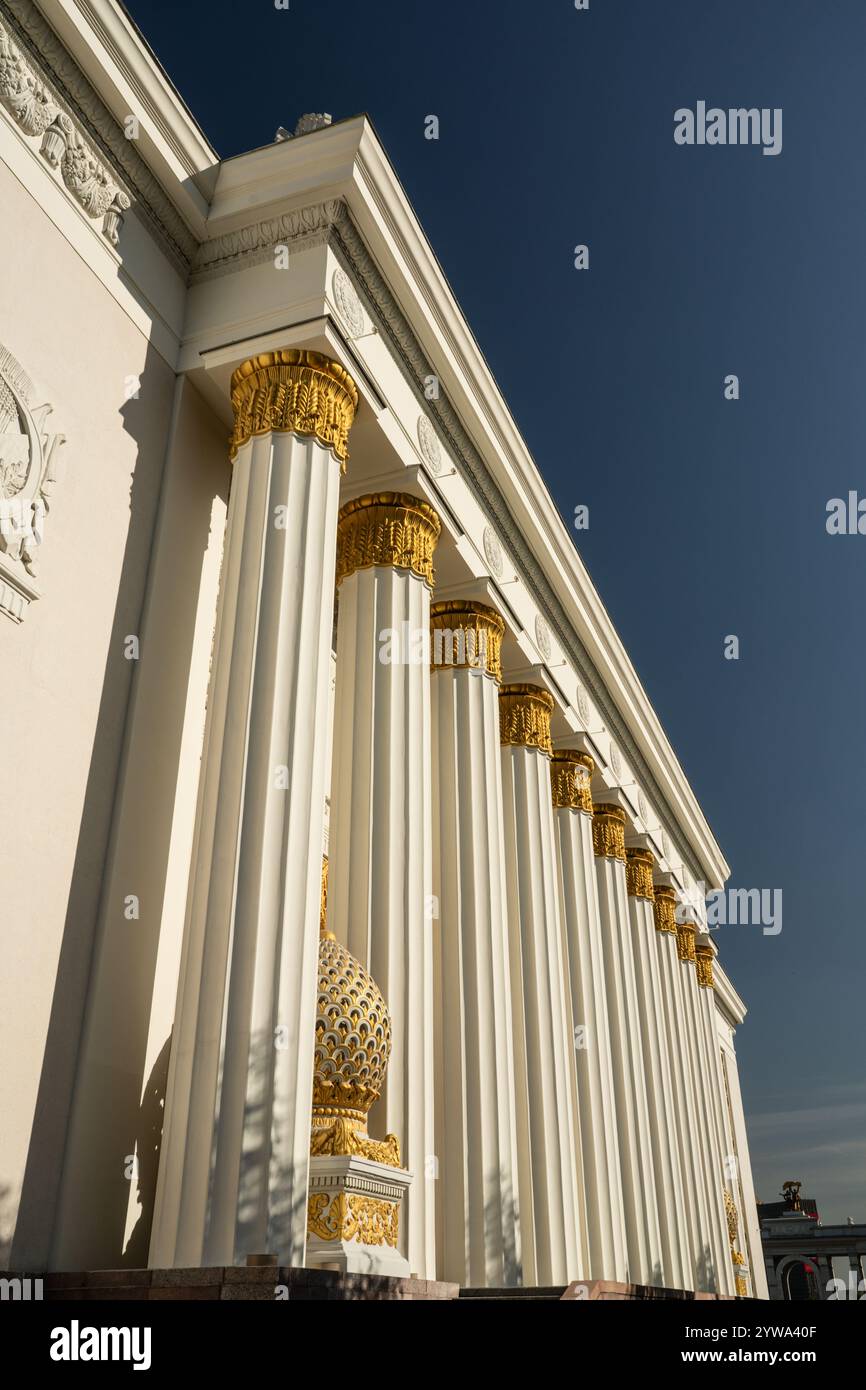 Tall, massive columns of a vintage, old building. Bottom-up view Stock ...