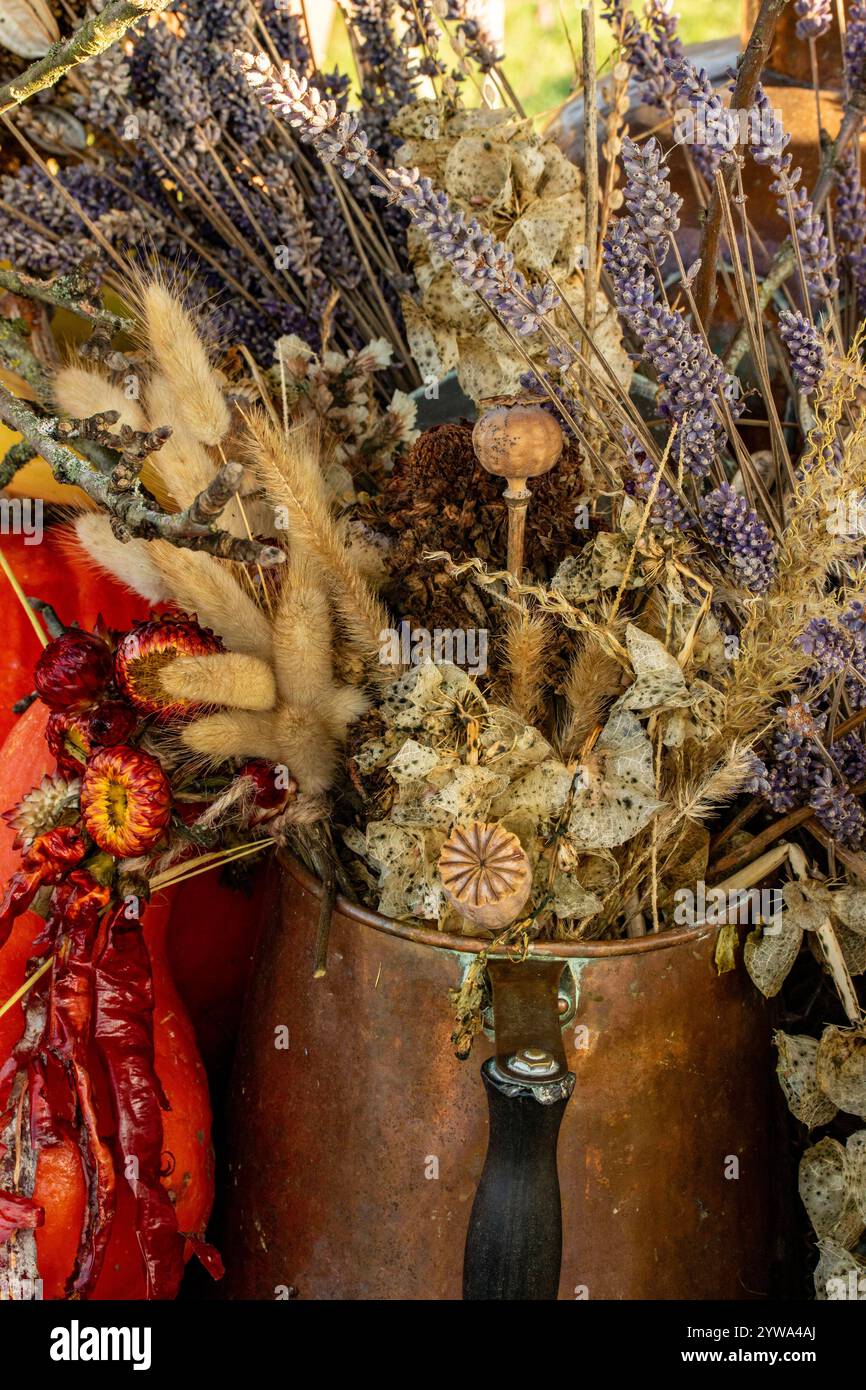 Natural close up found still life of dried grasses and seed-heads in ...