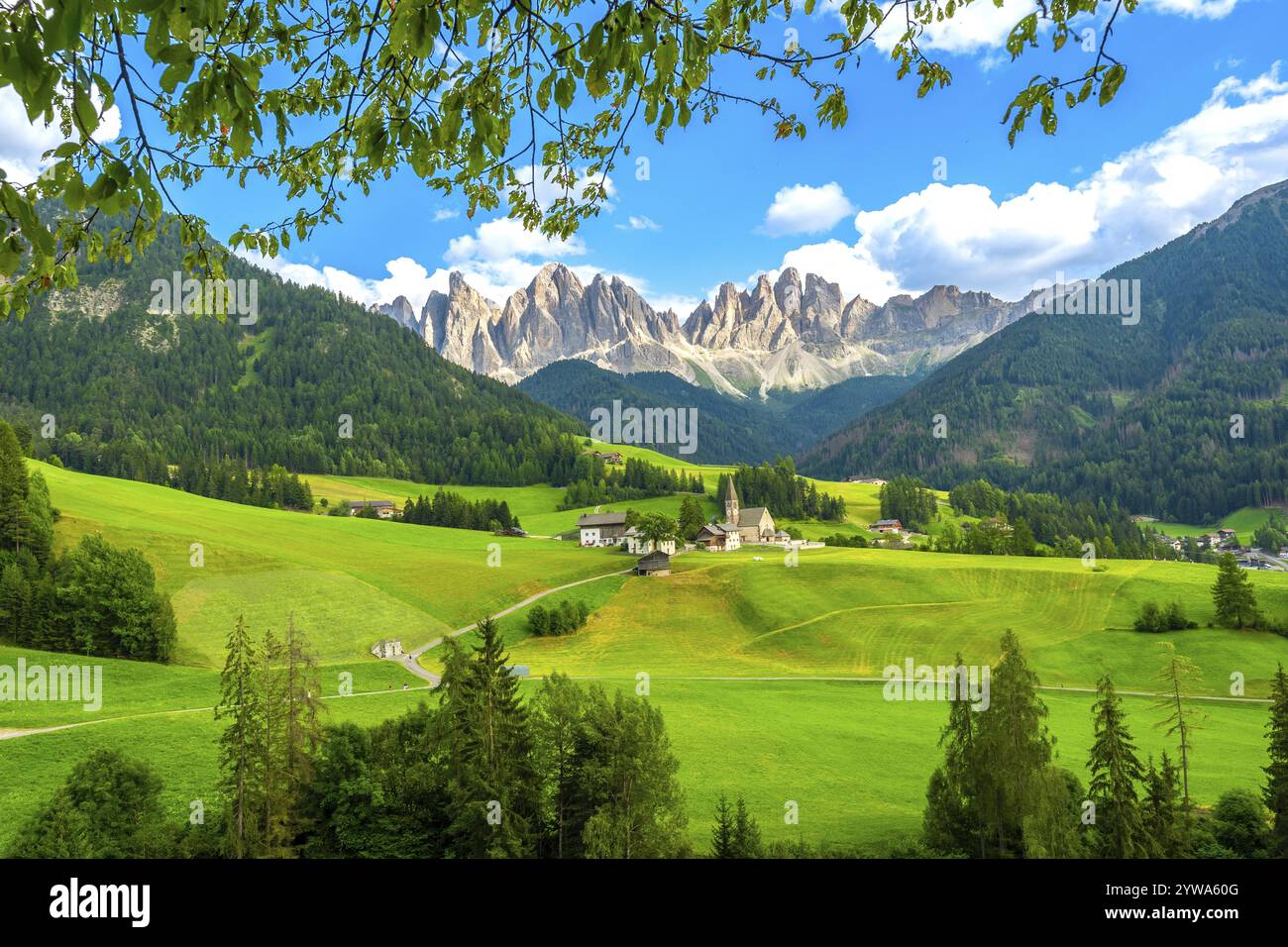 Framing the iconic santa maddalena church, green meadows and trees ...