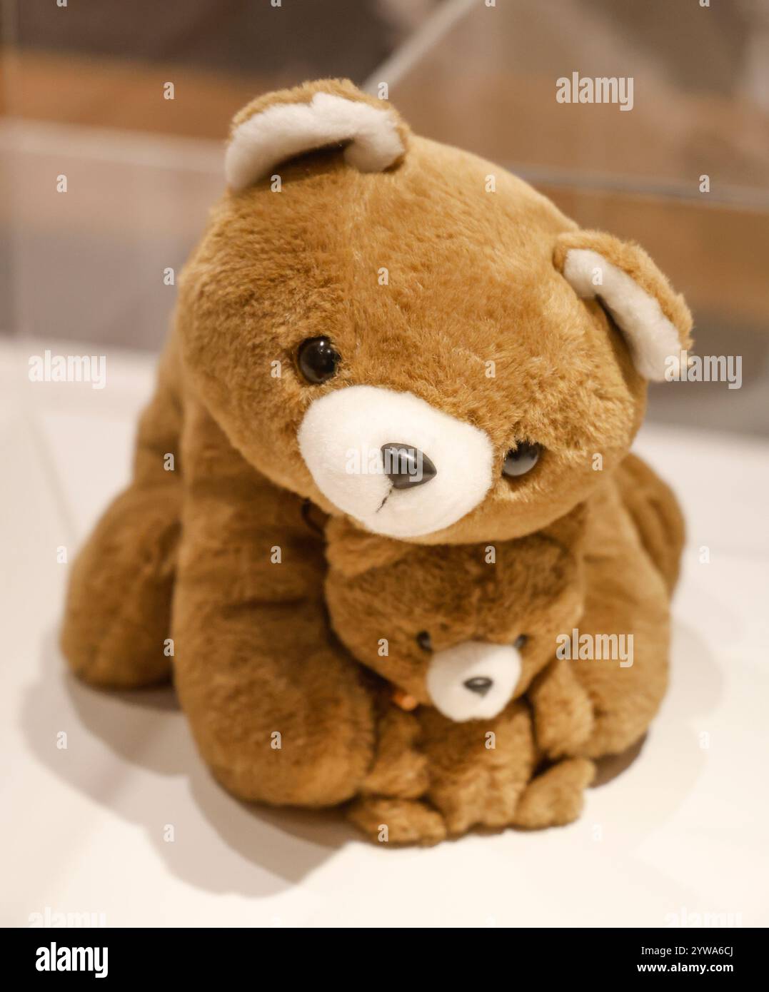 TEDDY BEAR EXHIBITION MUSEE DES ARTS DECORATIFS PARIS Stock Photo - Alamy