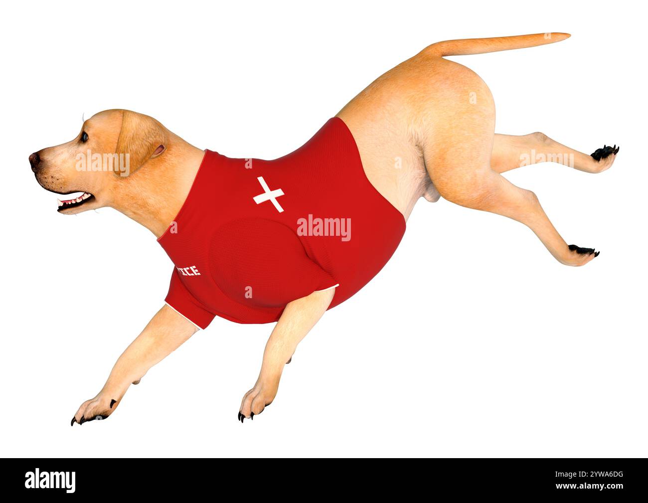 3D rendering of a yellow labrador service dog isolated on white ...