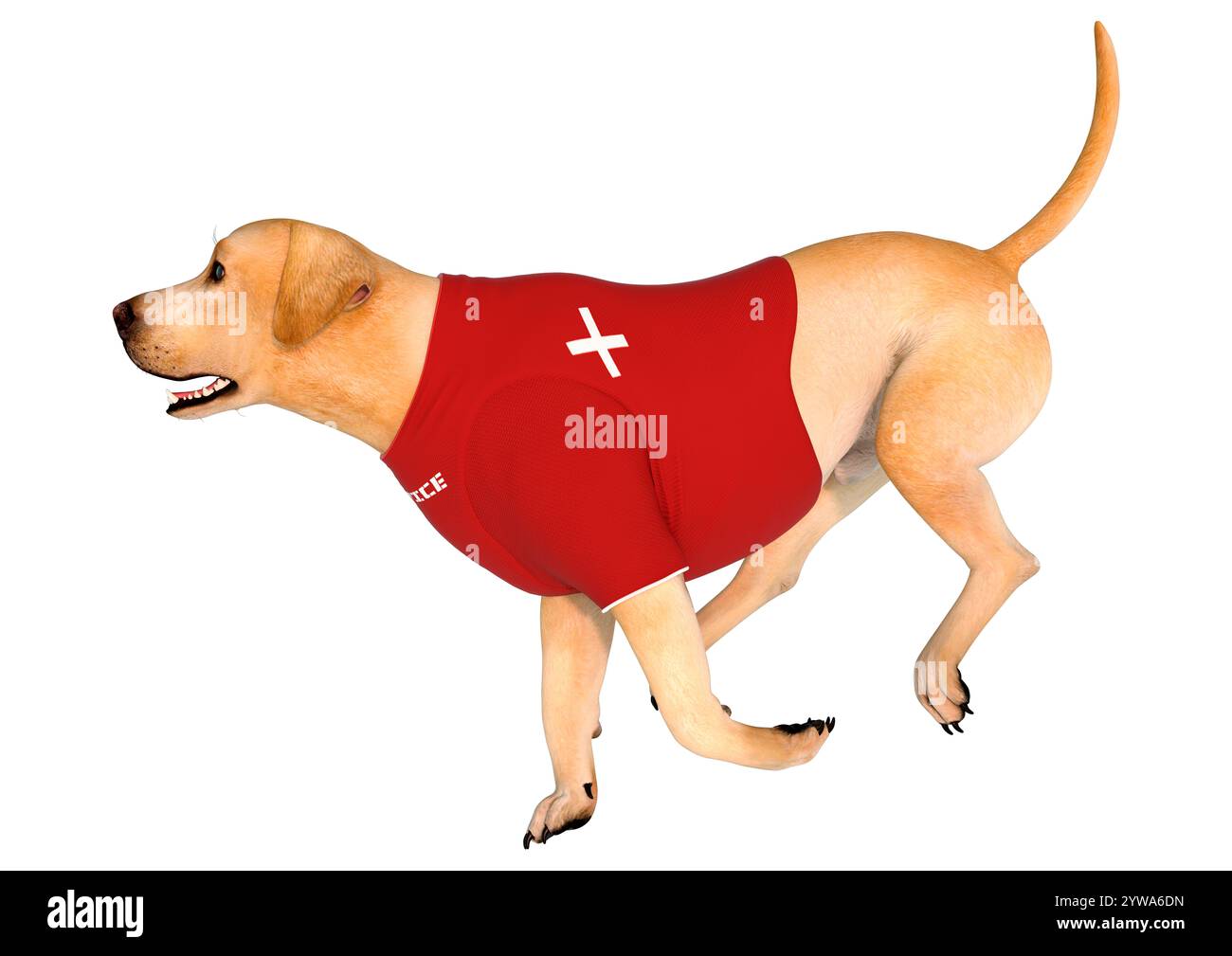 3D rendering of a yellow labrador service dog isolated on white ...