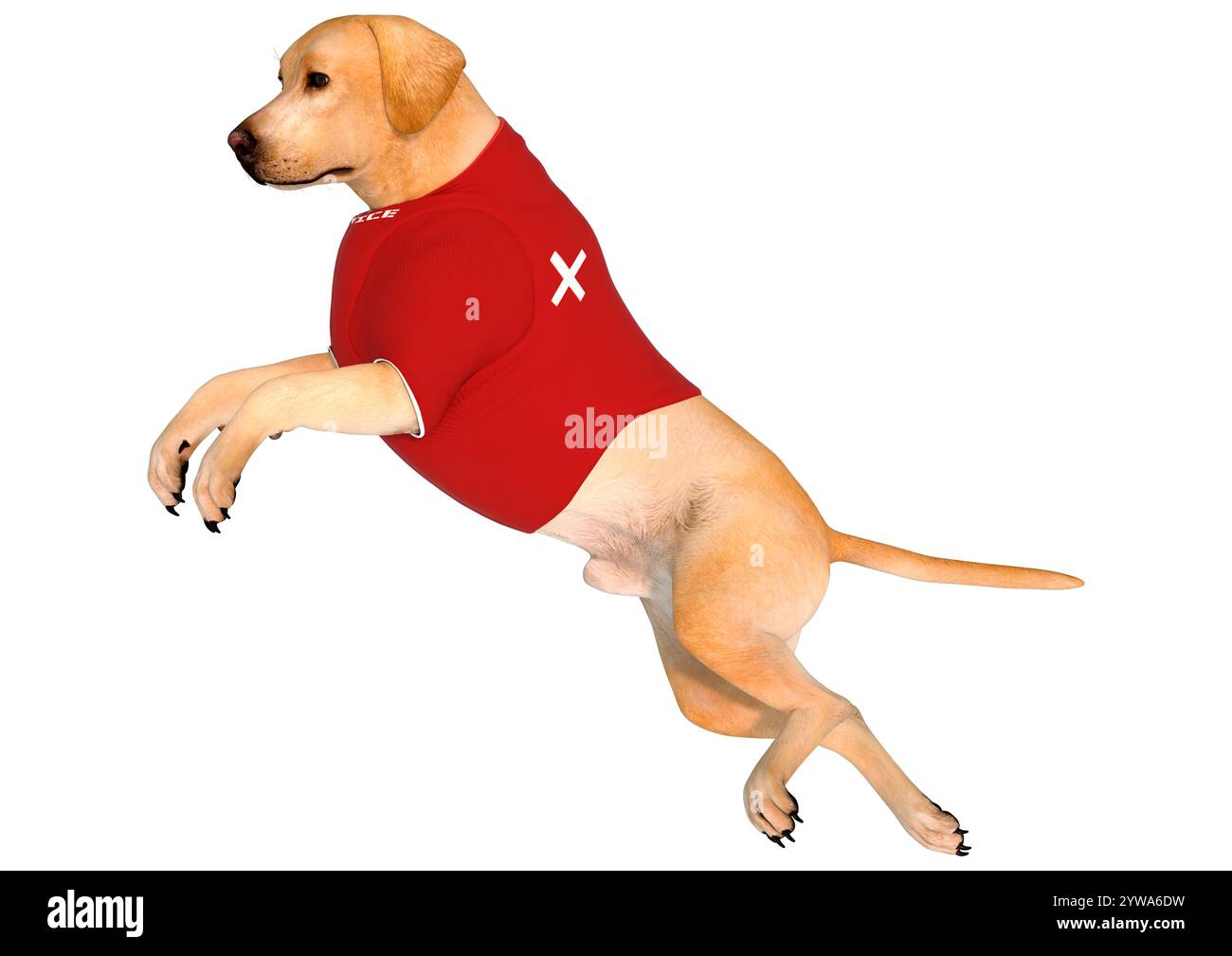 3D rendering of a yellow labrador service dog isolated on white ...