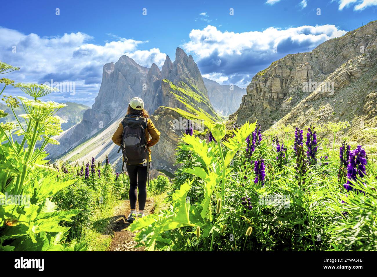 Female hiker walking on a path surrounded by flowers, enjoying the view ...