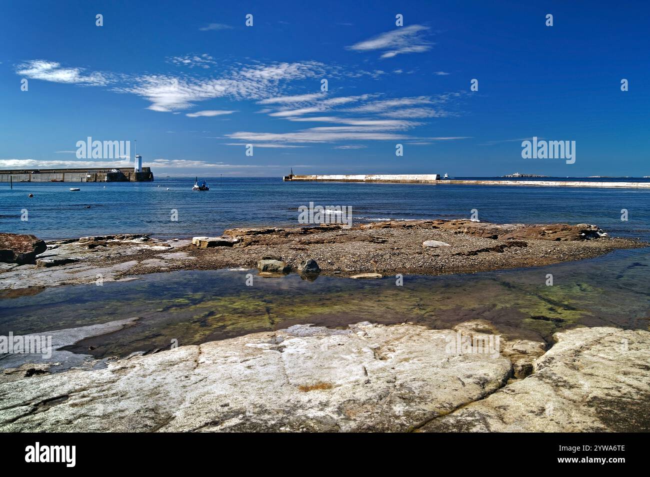 UK, Northumberland, Seahouses, North Sunderland Harbour Stock Photo - Alamy