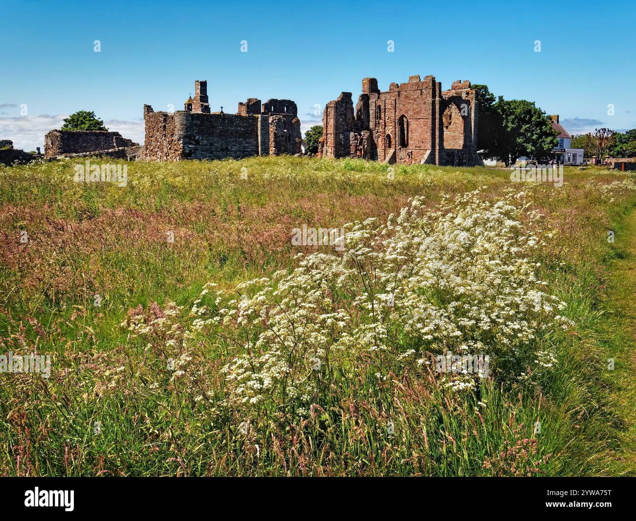 UK, Northumberland, Holy Island, Lindisfarne Priory Stock Photo - Alamy